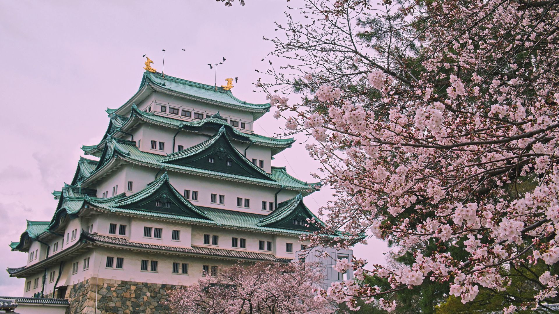 Things To Do In Nagoya: A Compact Travel Guide To Japan's Unique City ...