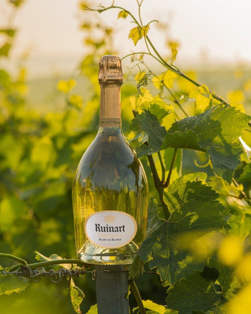 Maison Ruinart Appoints Caroline Fiot as Cellar Master