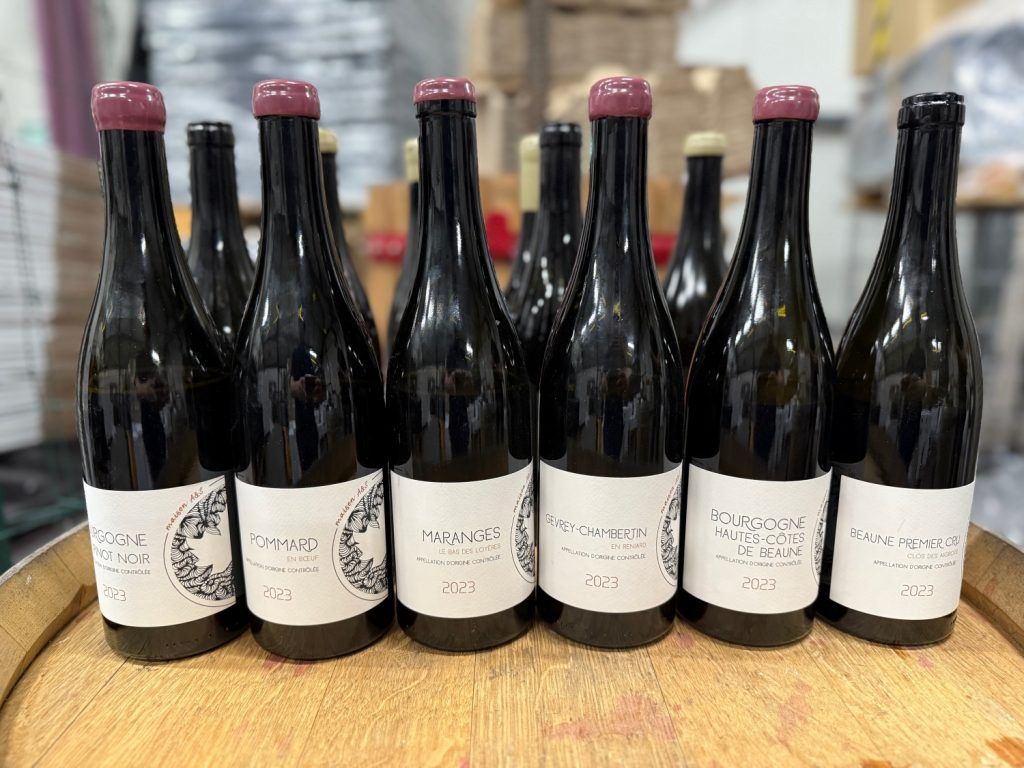 Beautiful Burgundy 2023: More than just cult labels