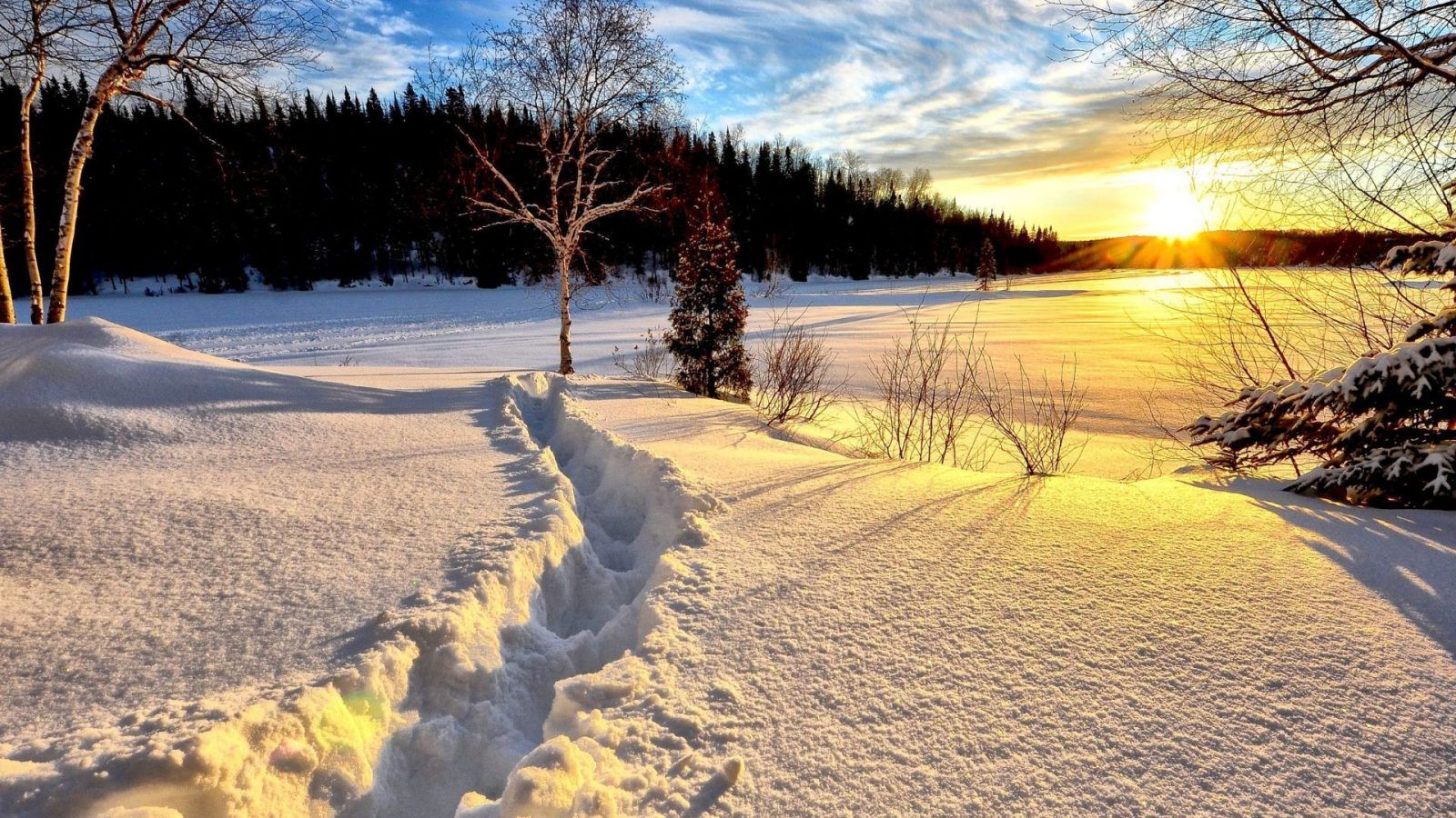 Daylight Saving Time Ends: What You Need to Know – PrestigeOnline Hong Kong