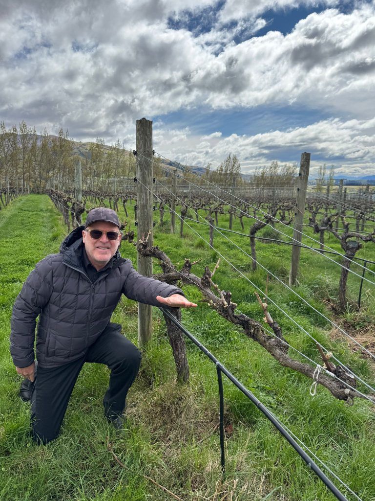 World's Top Wines of 2025 According to James Suckling