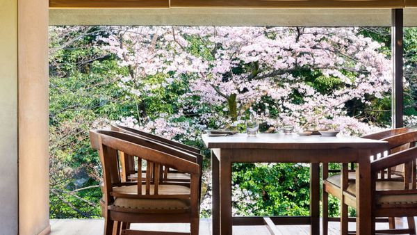 Best Hotels in Kyoto to Witness Sakura Season – PrestigeOnline Hong Kong