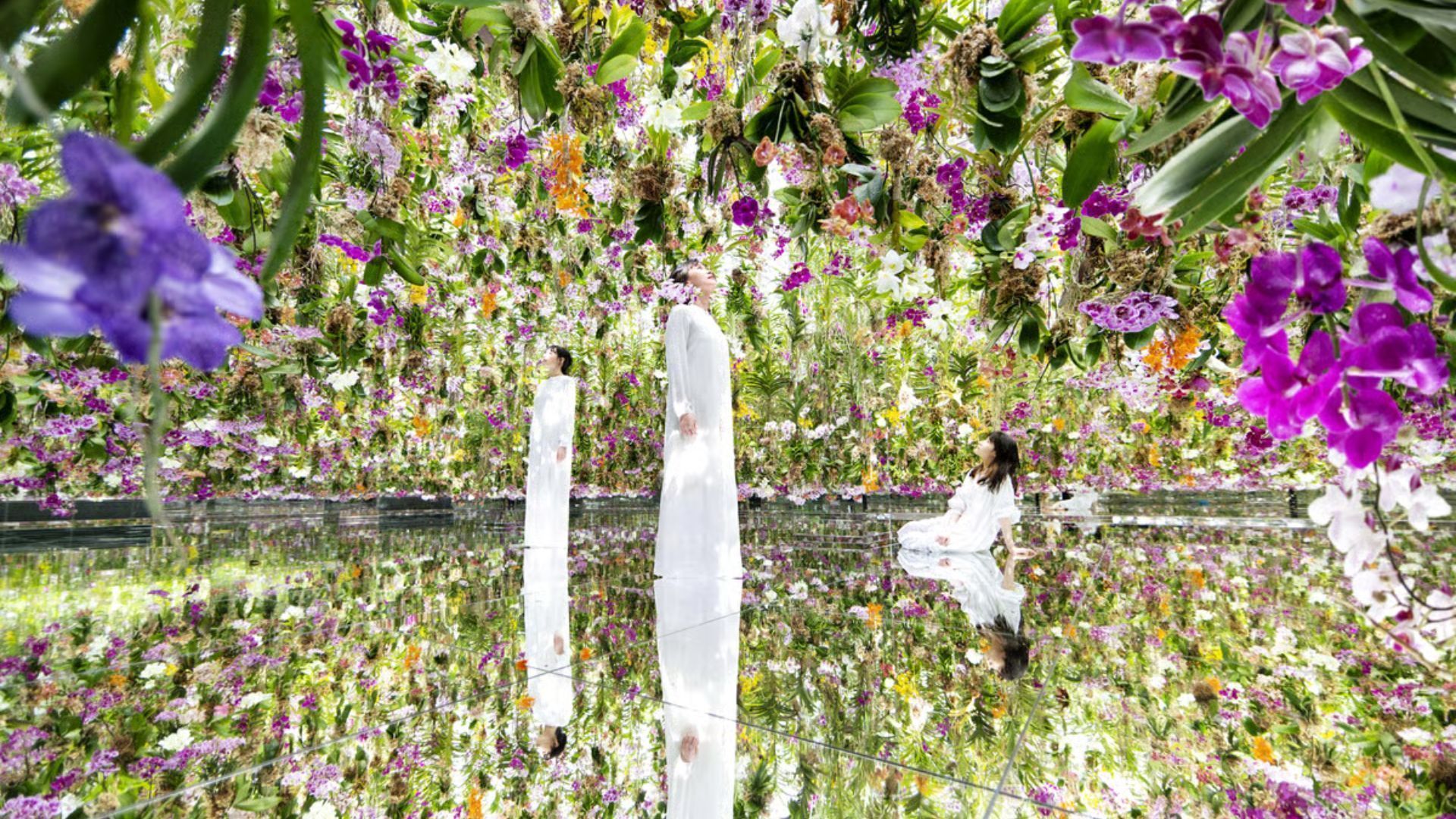 Tokyo, Osaka, or Kyoto: The Best TeamLab to Visit in Japan ...