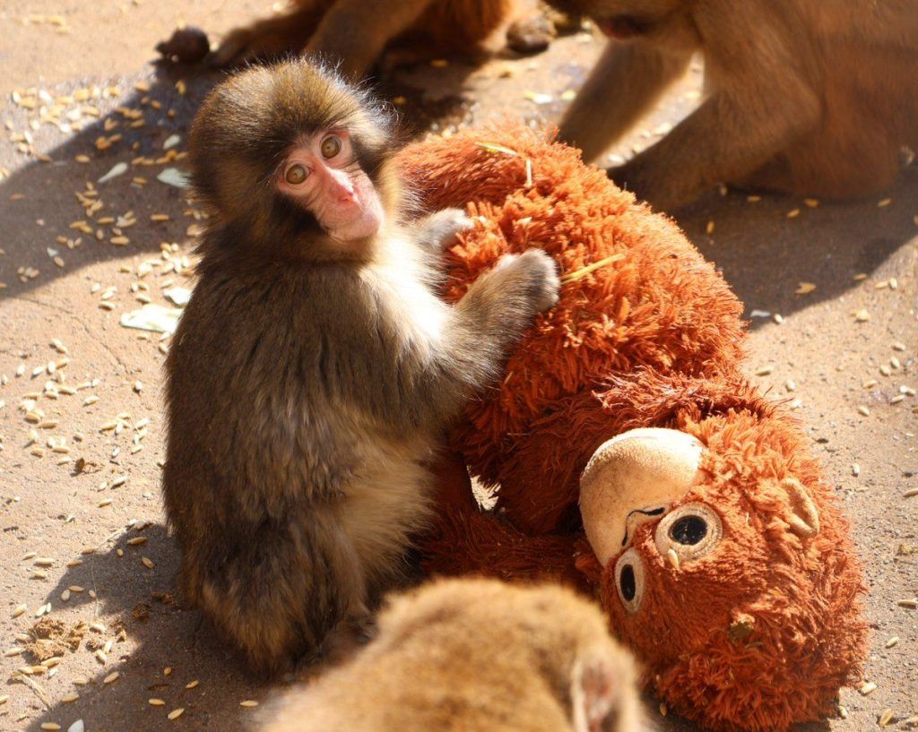P Diddy Controversy Sparks Baby Oil Memes – PrestigeOnline Hong Kong