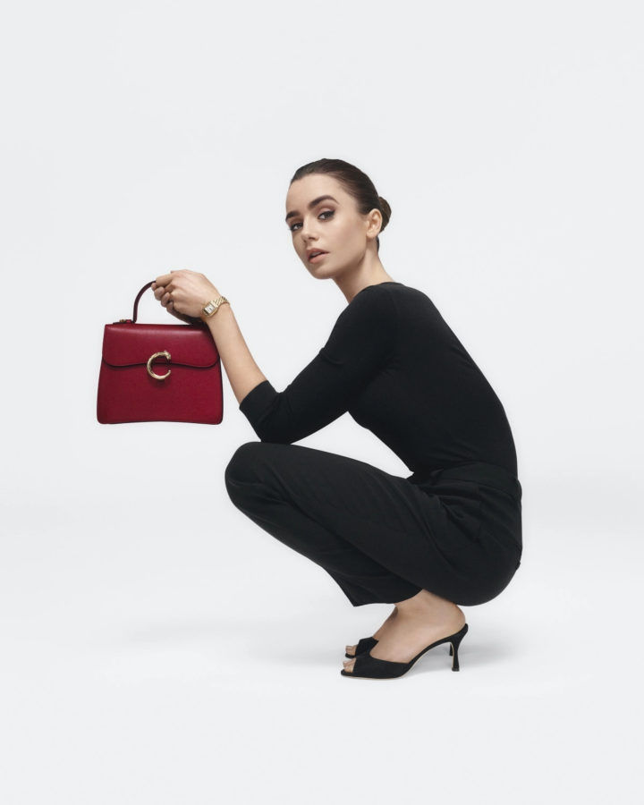 Channeling a Legend through Panthère de Cartier bag