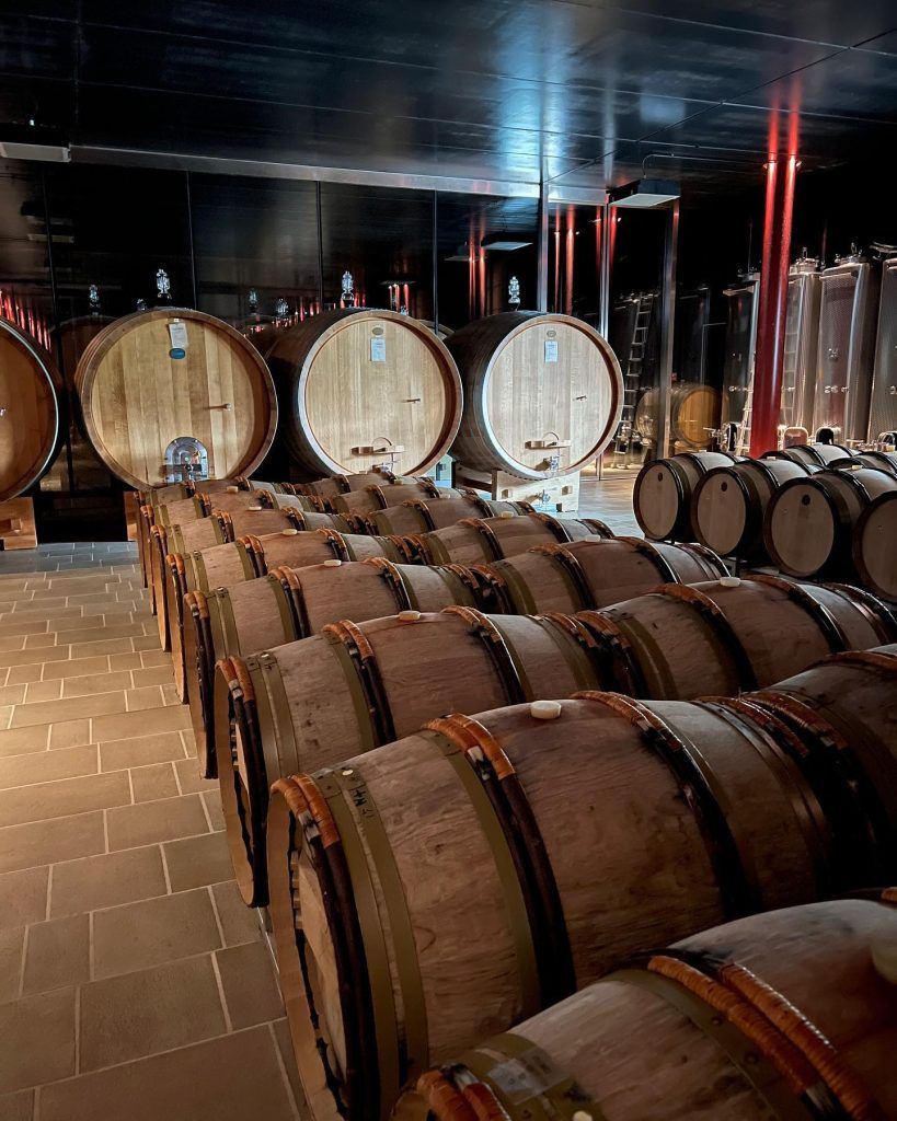 The beauties and the beasts of Barolo and Barbaresco wine