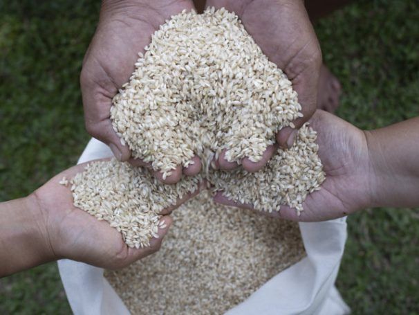 A sneak peek into Syrco BASÈ, Bali's upcoming gastronomy destination