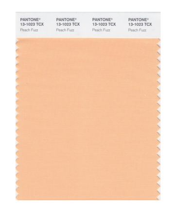 Peach Fuzz is 2024's Pantone colour of the year