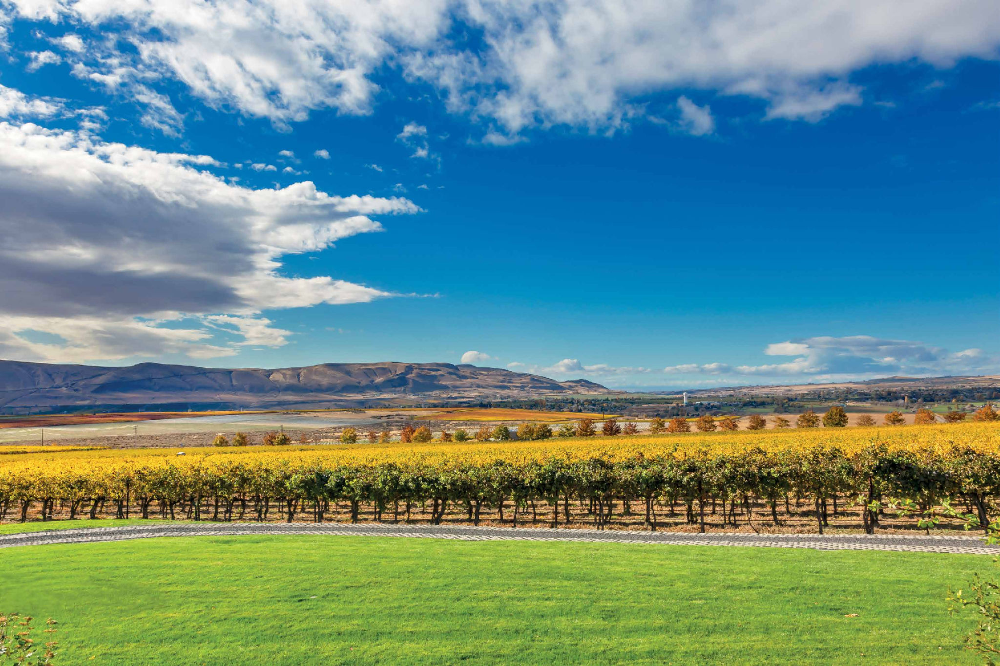 A journey across Washington State's wine scene