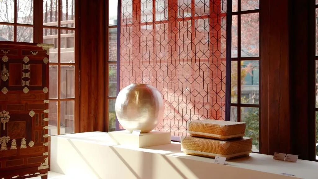 Dahye Jeong Imagines Horsehair's Future