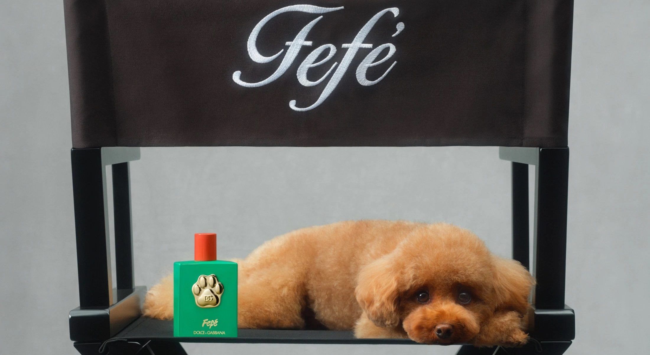 The essential scent for stylish dogs is Dolce & Gabbana's Fefè.