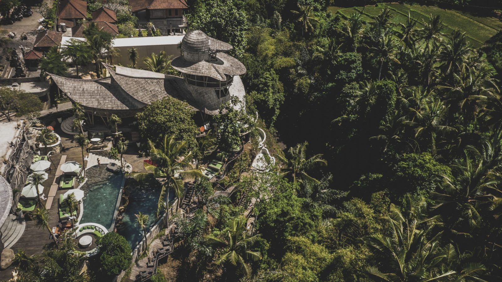 Experience all-day fun at The Jungle Club Ubud