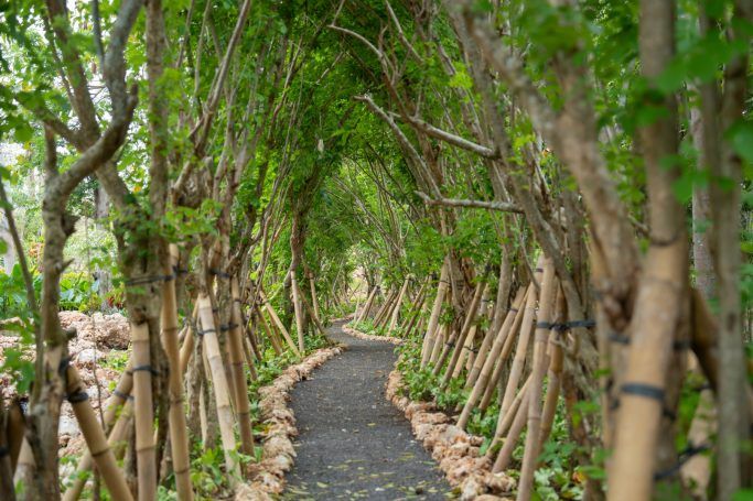 Exploring Tevana Garden, AYANA Bali's newest peace-loving haven