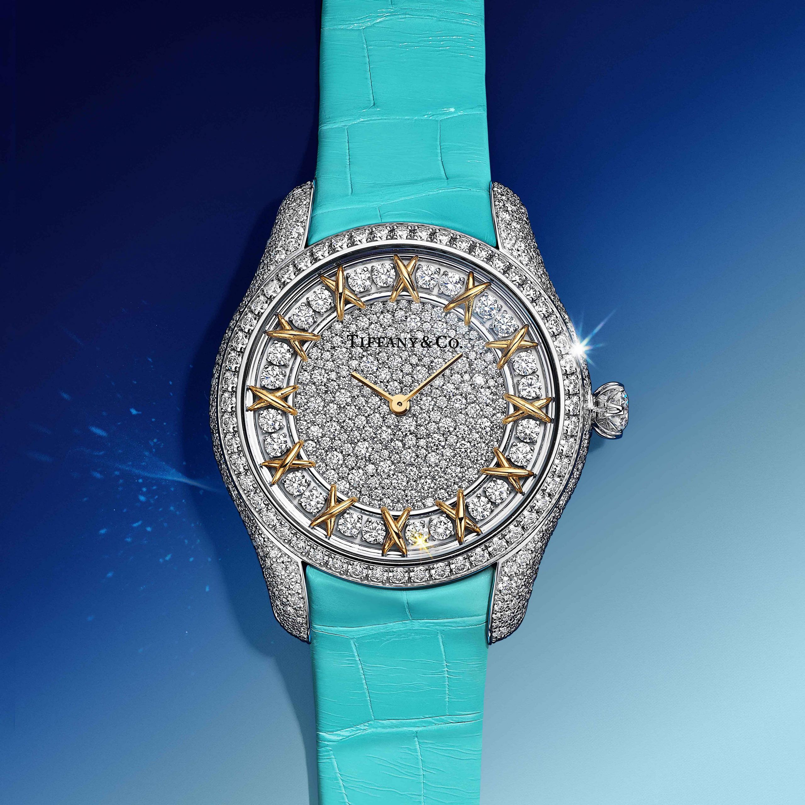LVMH Watch Week 2025's Top Pick: Tiffany & Co.