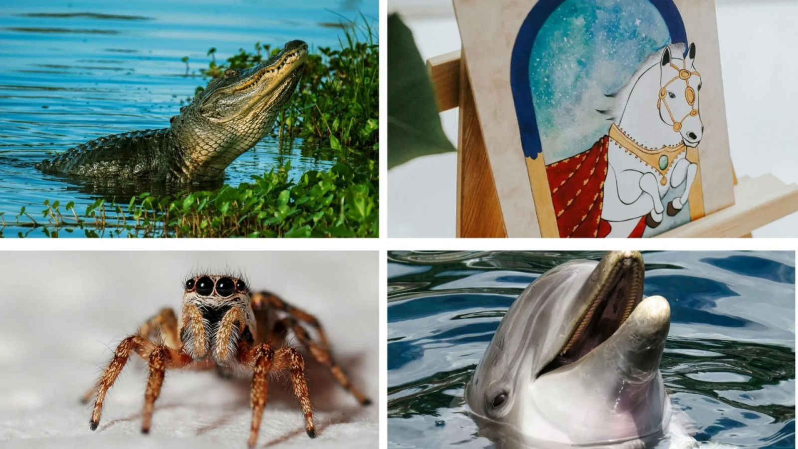 Primal zodiac sign 60 photos - Astrologytoyou.com