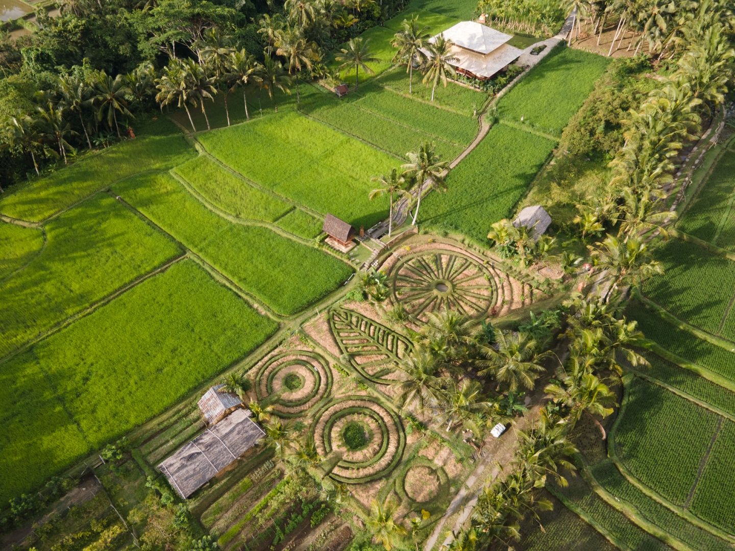 Syrco BASÈ and Begawan Biji present “Harvest to Table”