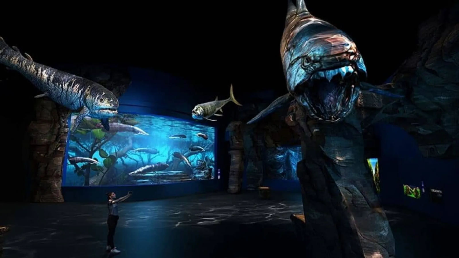 Expectations for the recently opened Singapore Oceanarium