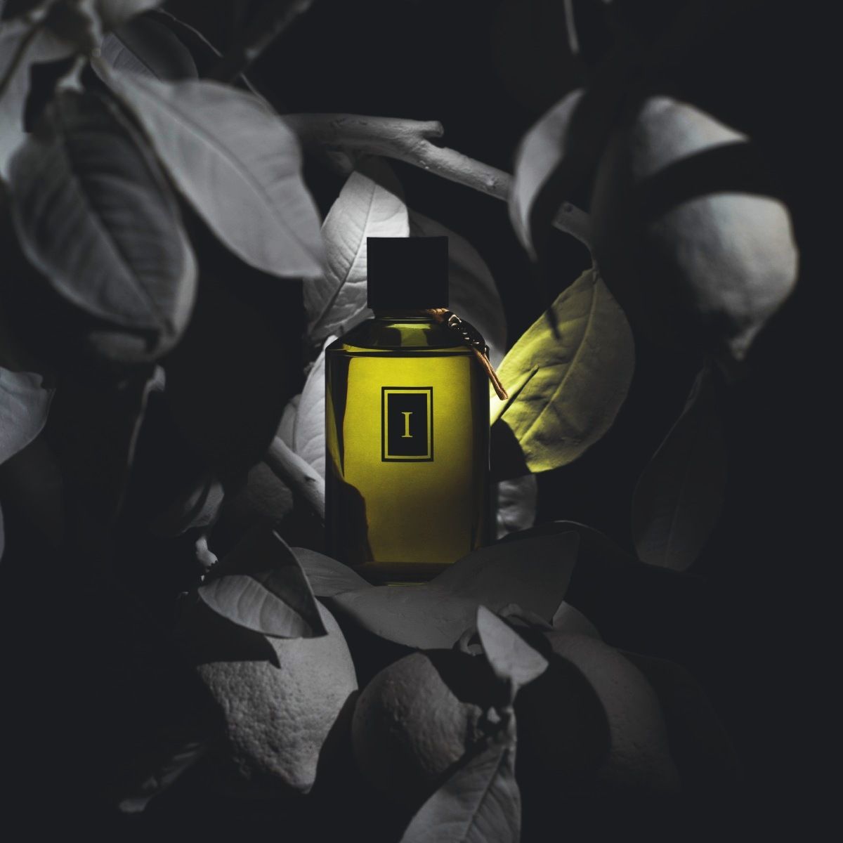 Il Y Avait Un Jardin by Henry Jacques: Light, bright, and fresh