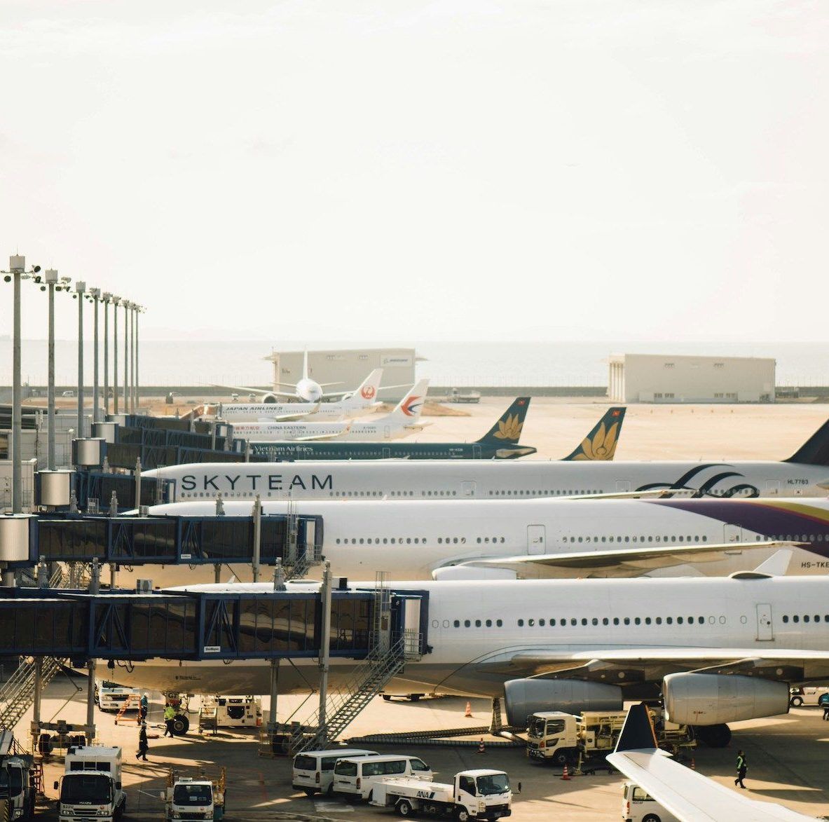 Explained Advantages And Cons Of Codeshare Flights