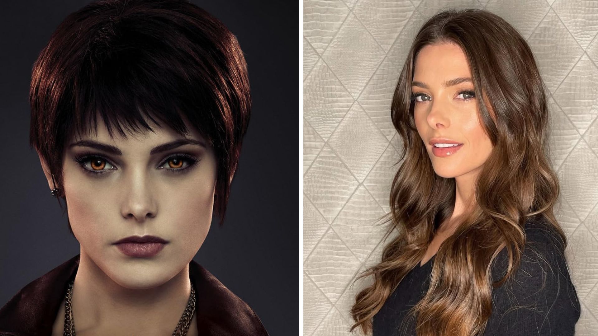 Where Are the Cast Members of Twilight Saga Right Now?