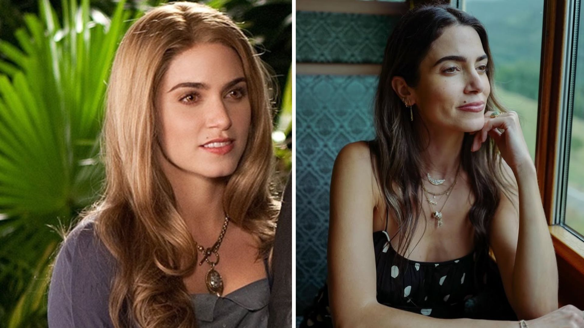 Where Are the Cast Members of Twilight Saga Right Now?