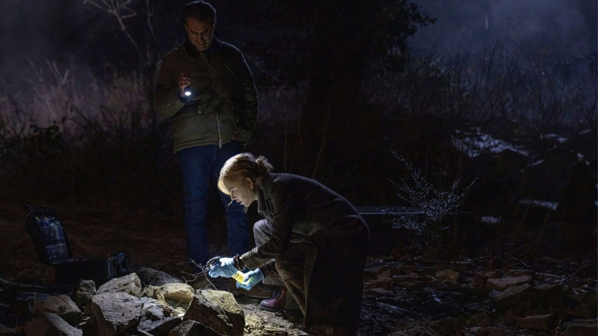 All of the Information Regarding Nicole Kidman's Upcoming TV Series ...