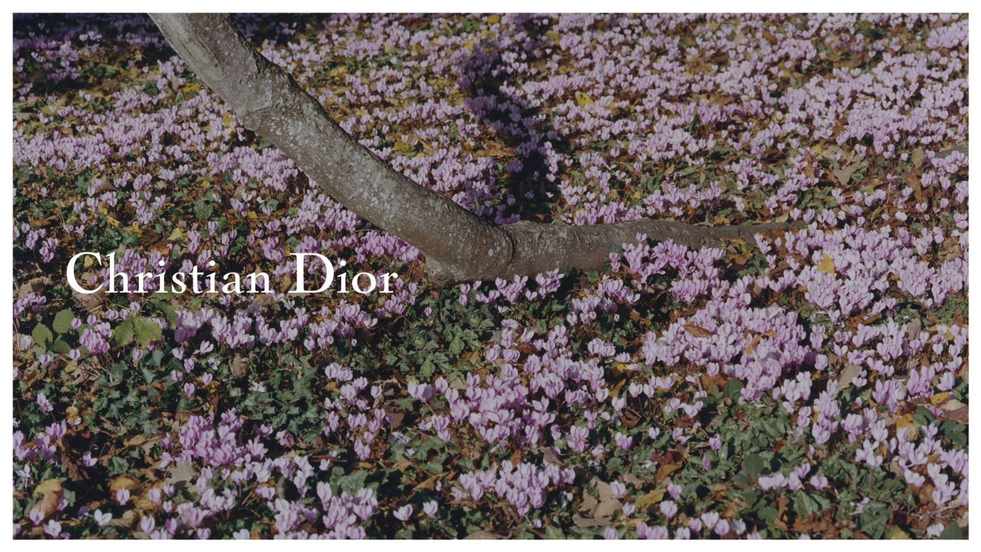 Watch Dior Spring-Summer 2026 Haute Couture Show on Monday, 26th ...