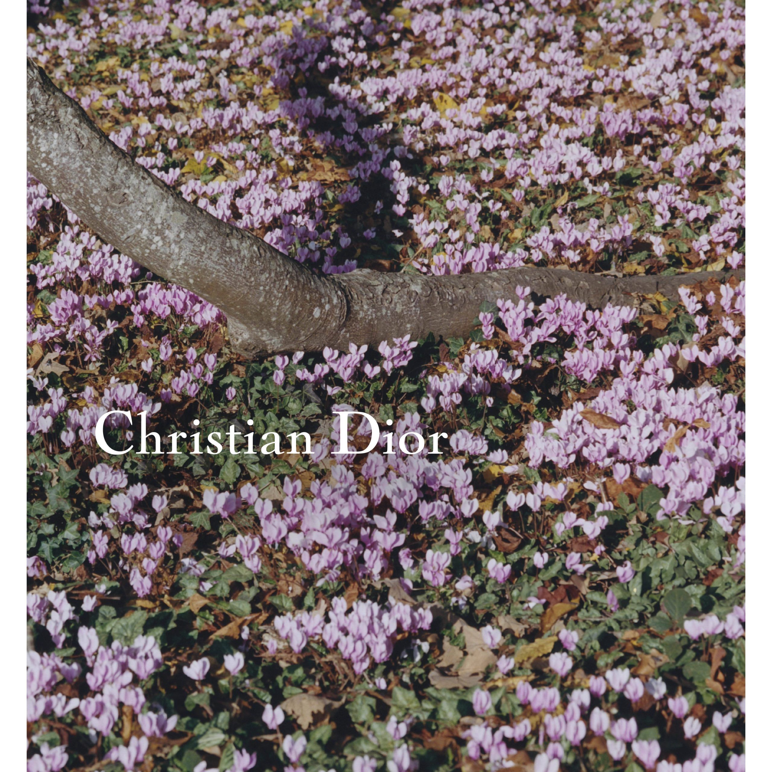 Watch Dior Spring-Summer 2026 Haute Couture Show on Monday, 26th ...