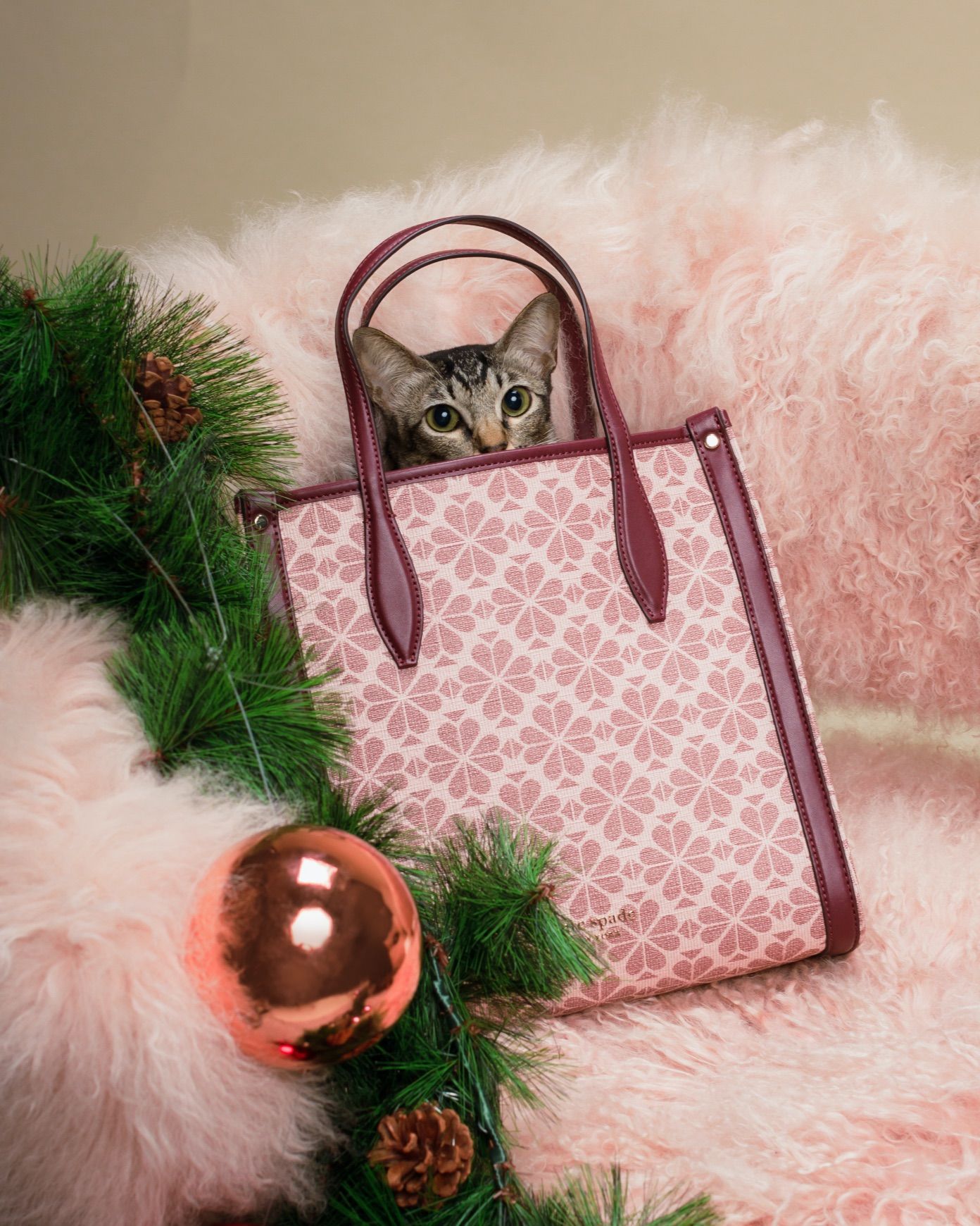 Cats star in Kate Spade's holiday campaign with Allergic Rescuers Kuala ...