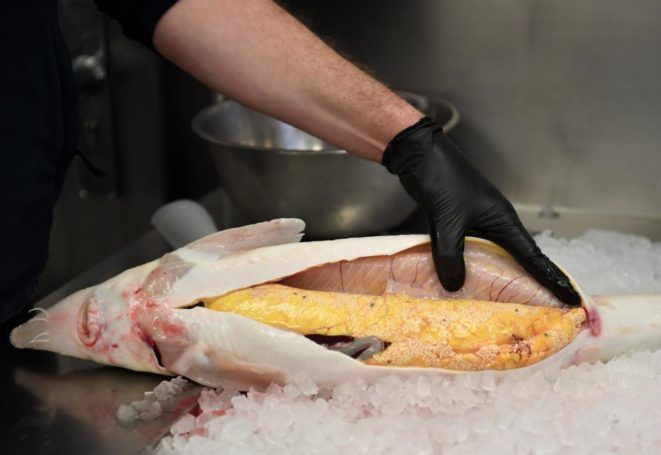 White caviar from albino sturgeon, the next big thing in fine dining?