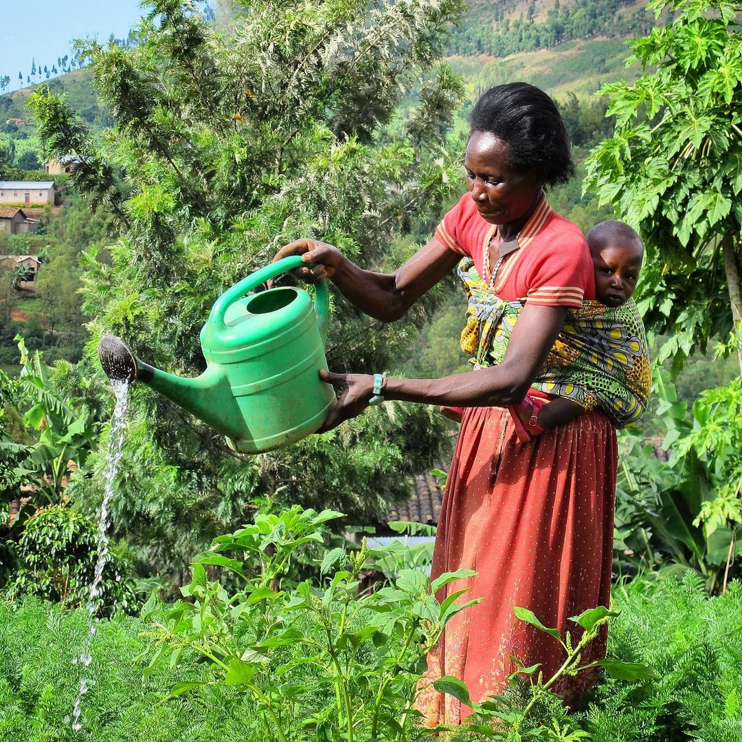 10 environmental organisations where your donations can help save the Earth