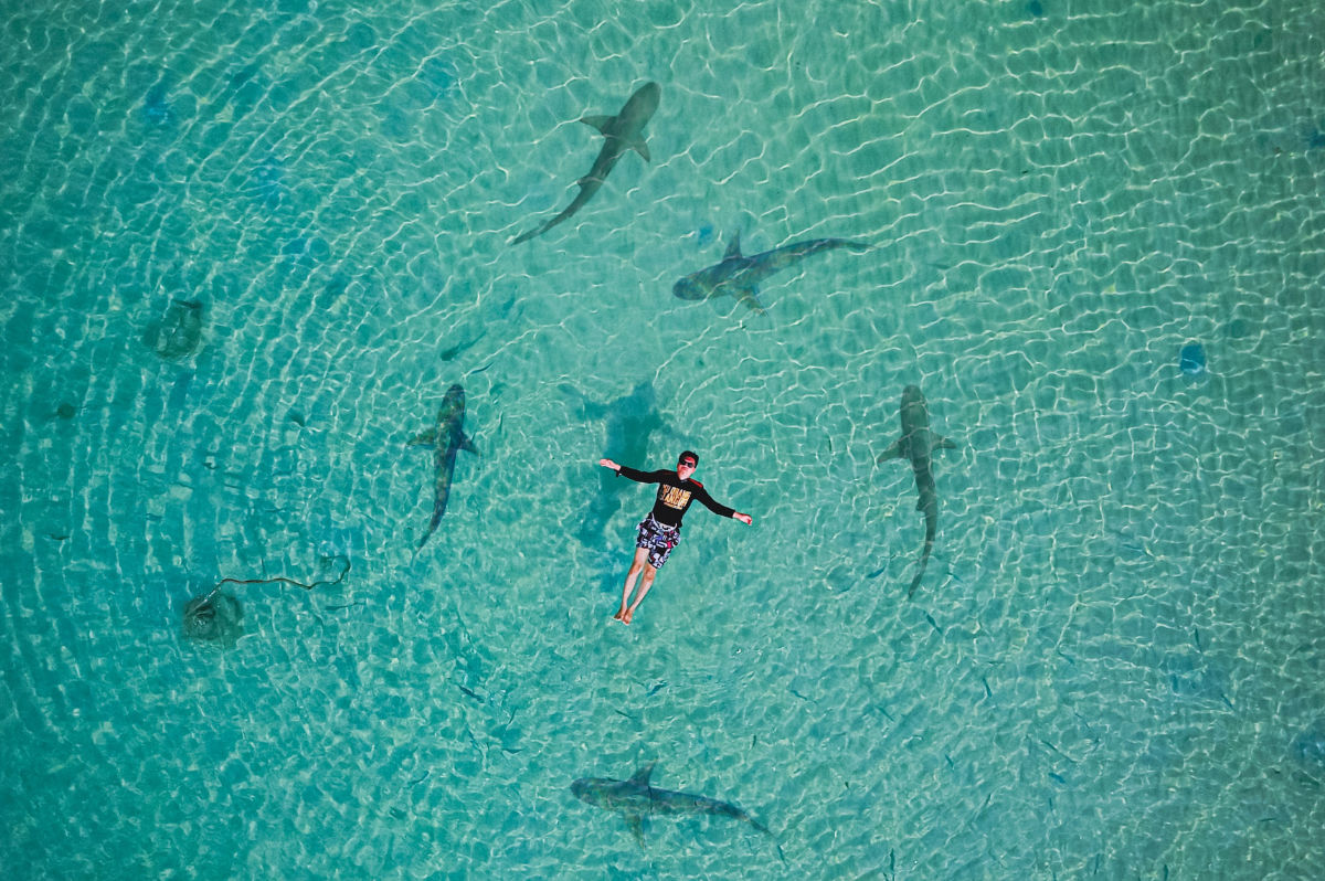 All you need to know about the theme of World Environment Day 2021