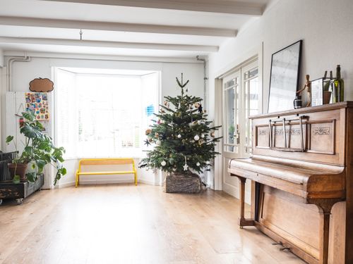 Jazz up your Christmas tree with these decorating ideas