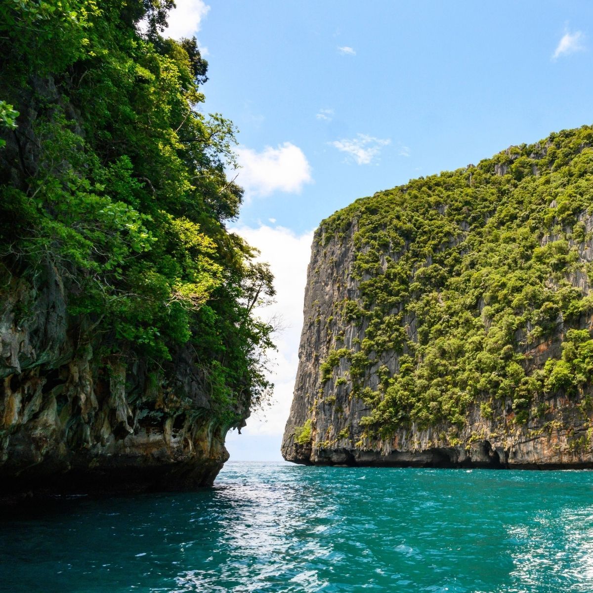 Thailand reopens famous Maya Bay from "The Beach" movie