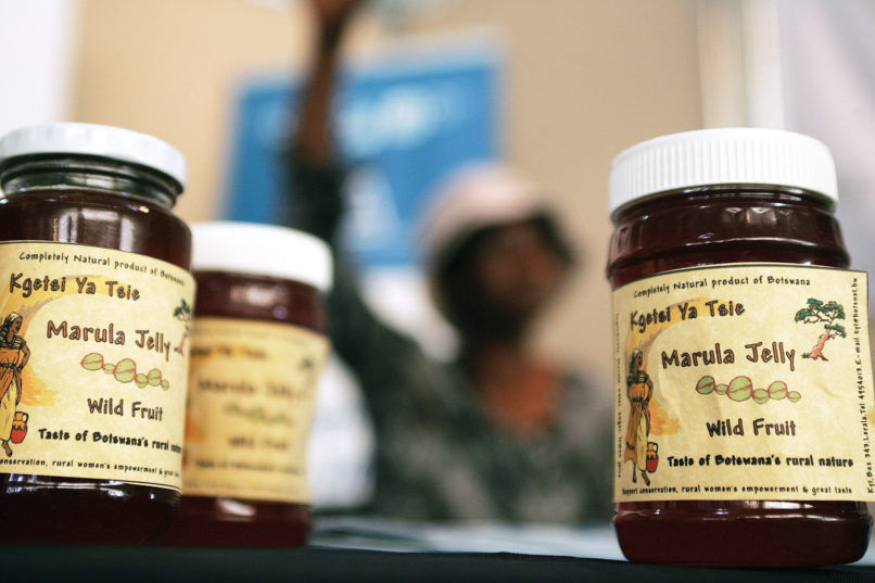 Africa's superfruit, marula, will do wonders for your skin