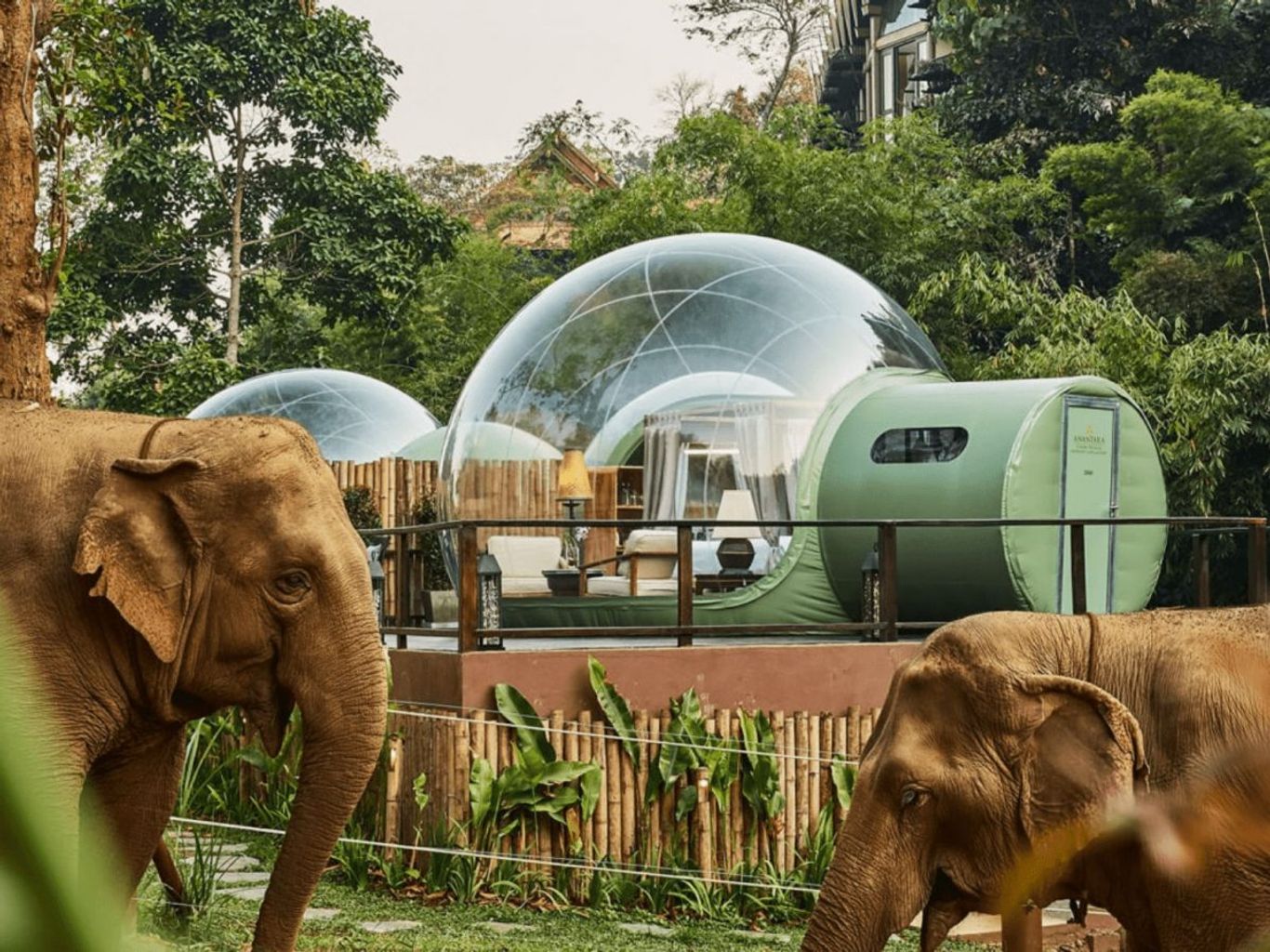 6 of the world’s best eco-friendly hotels for sustainable luxury travel