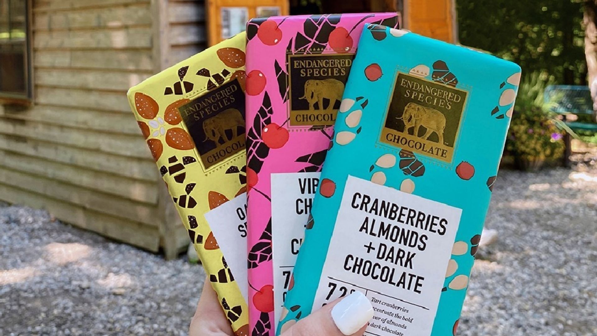 Enjoy chocolate guilt-free with these sustainable and ethical brands
