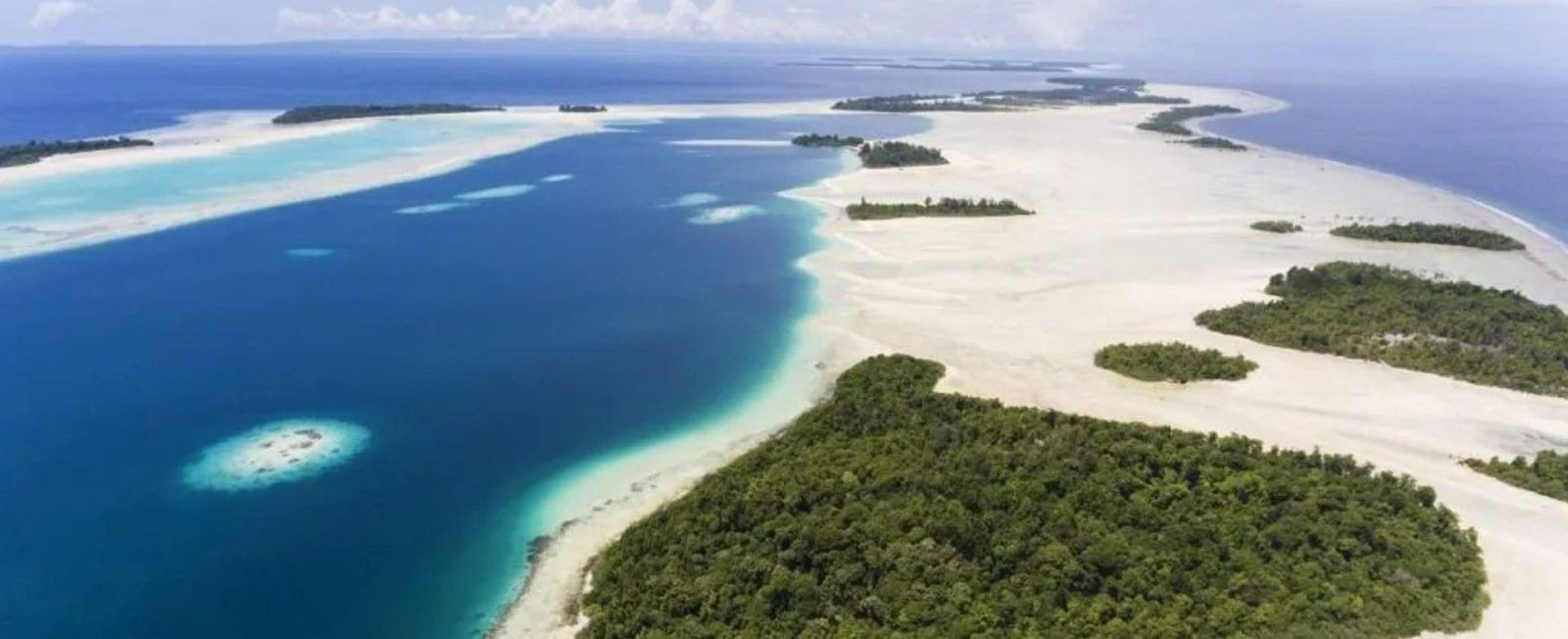Widi Reserve, an Indonesian archipelago, is up for auction