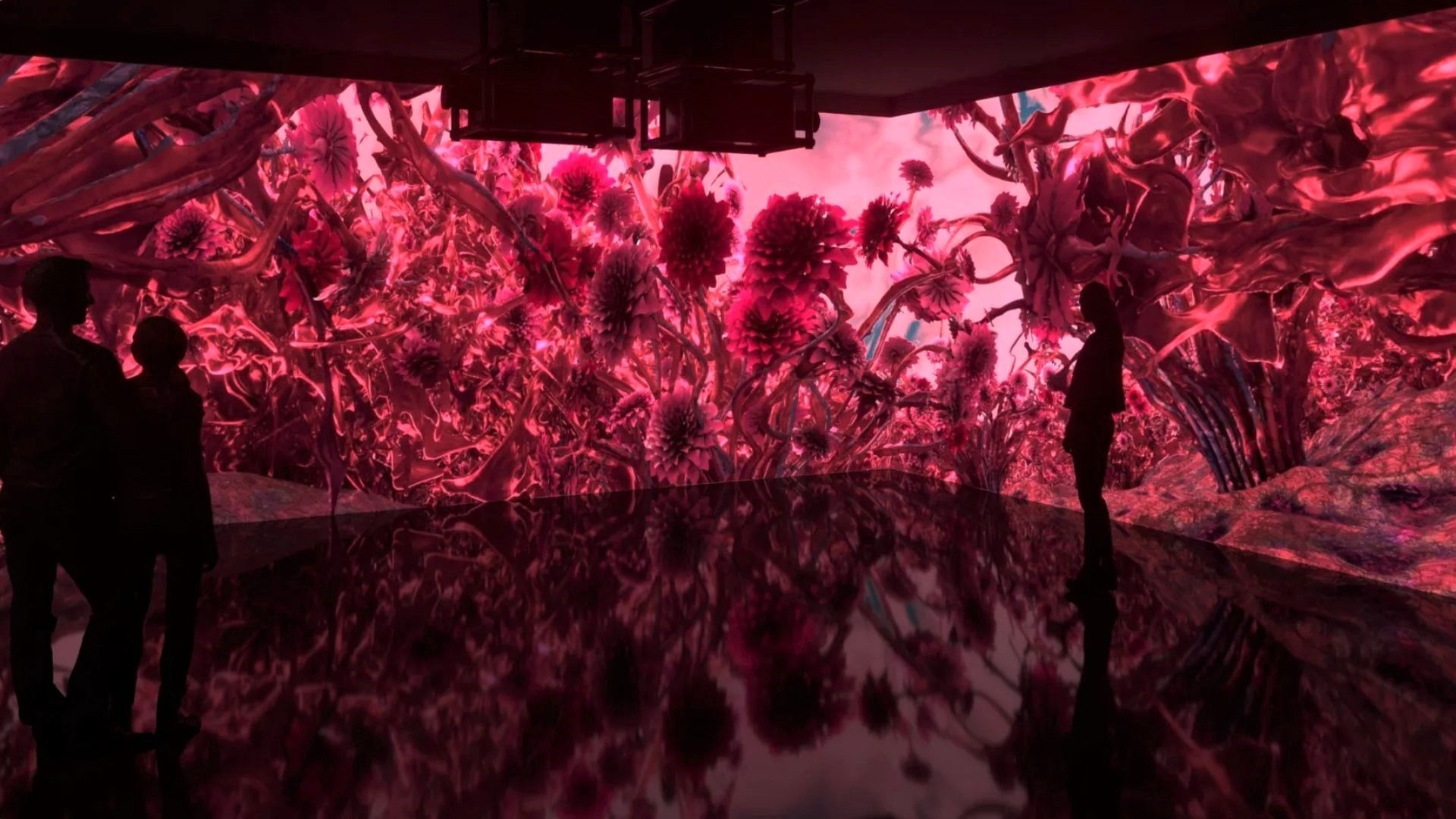 Every Pantone Color of the Year from 2000 to 2026