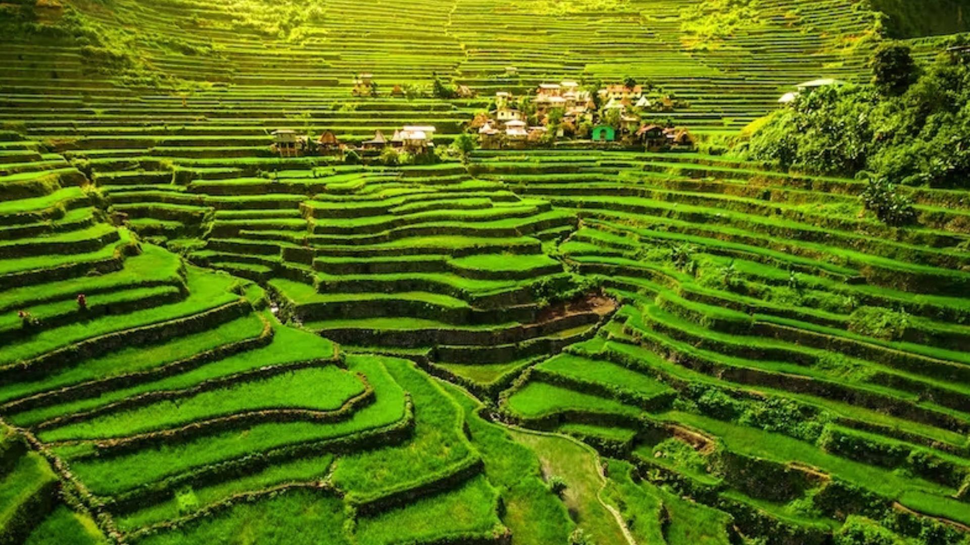 Philippines Guide: Best places and islands to visit and things to do