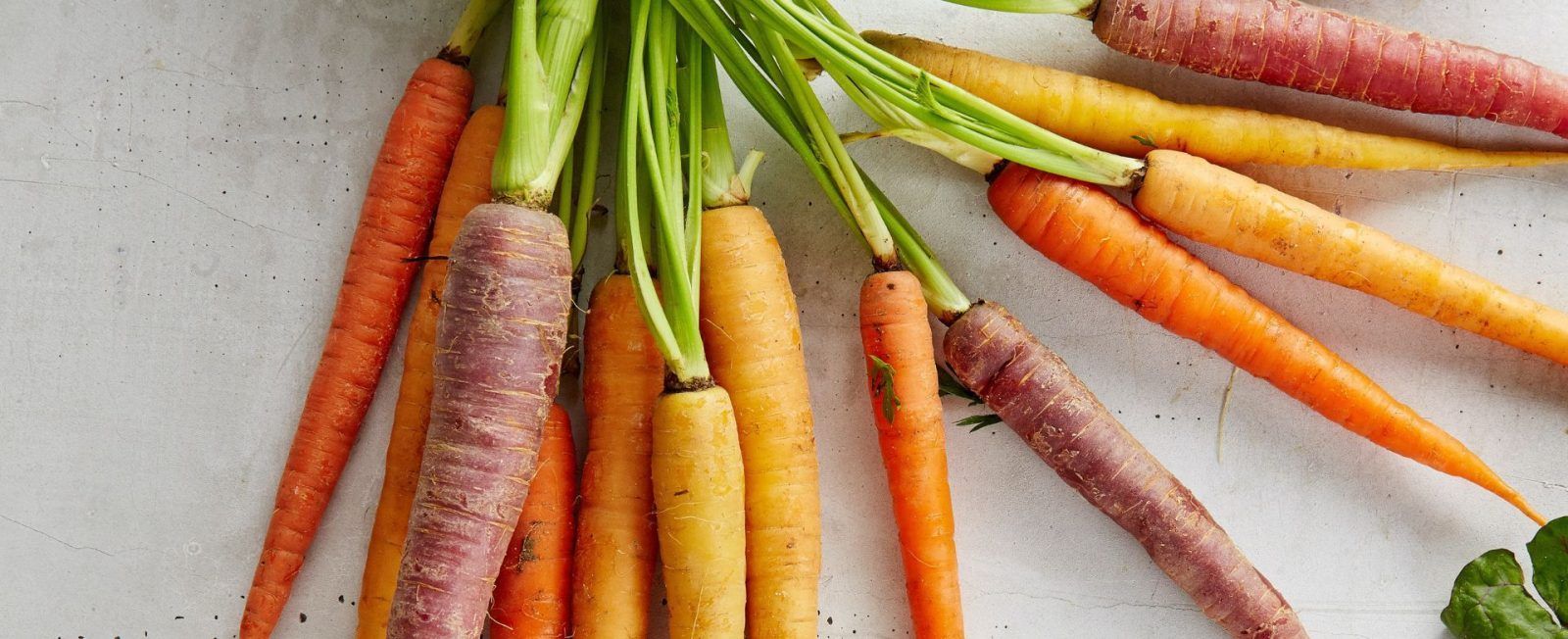 7 Carrot benefits to know for your wellbeing