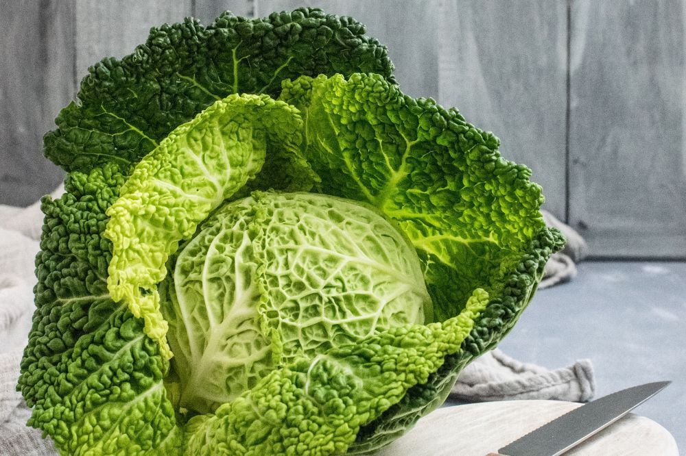 Vegan calcium sources you should add to your daily diet