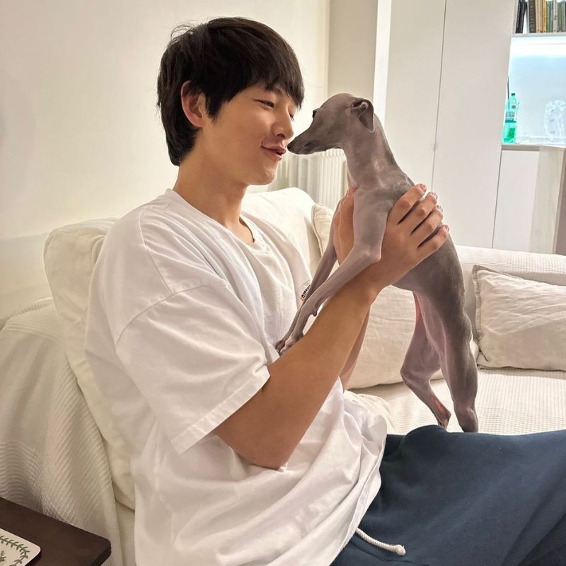 Song Joong-ki and Katy Louise Saunders’ heartwarming love story