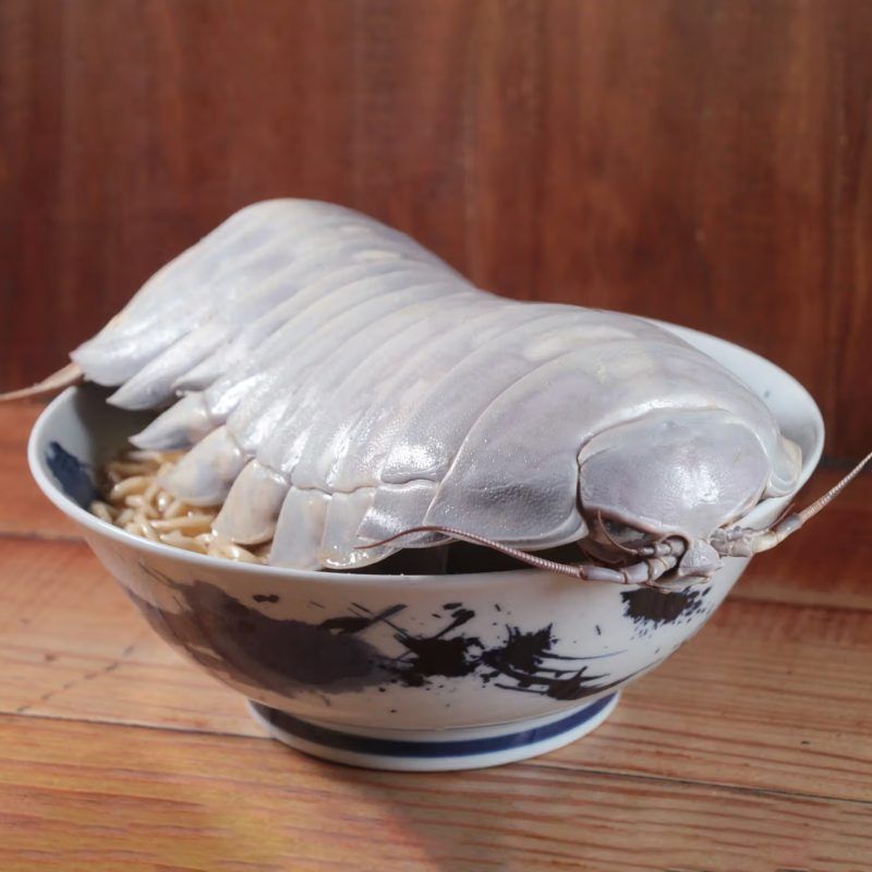 A Taiwan noodle shop is serving up giant isopod ramen