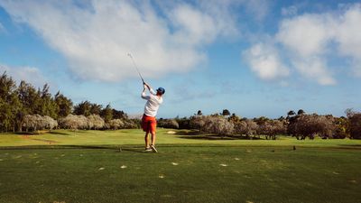 The best golf coaches in the world: Butch Harmon, Pete Cowen and more