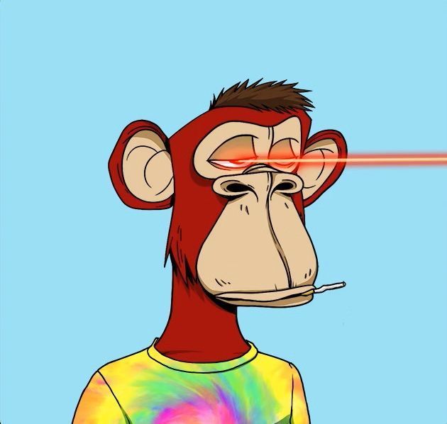 Bored Ape Yacht Club loses over 85% of market value as NFTs crash low