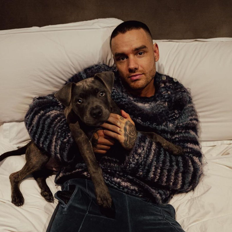 Singer Liam Payne dies at 31 after falling from building ...