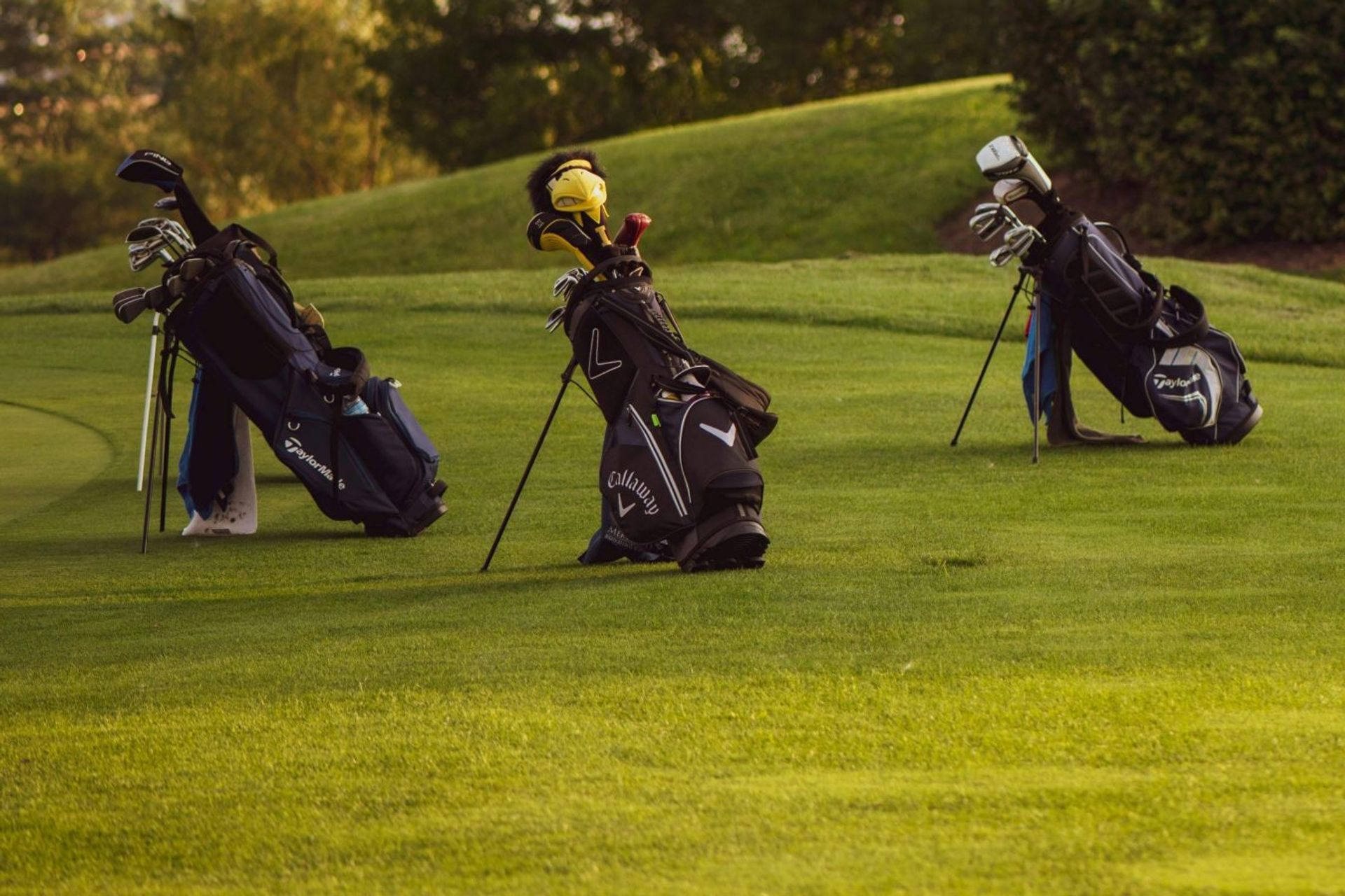 Golf club storage: Upgrade your game with these tips and tricks ...