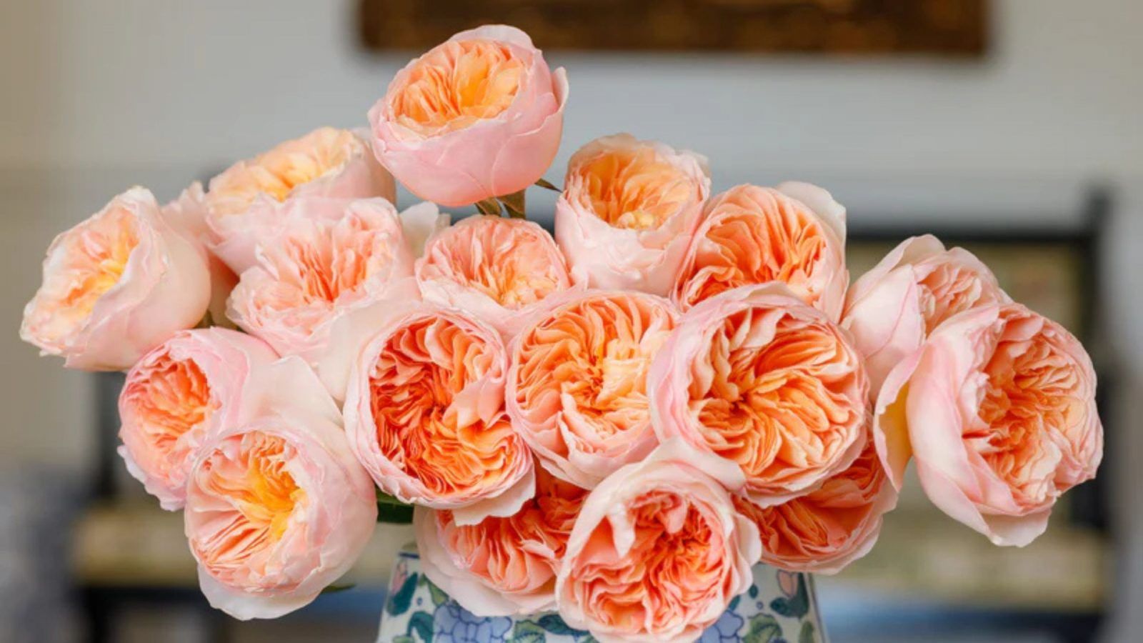 10 of the most expensive flowers in the world – PrestigeOnline Malaysia