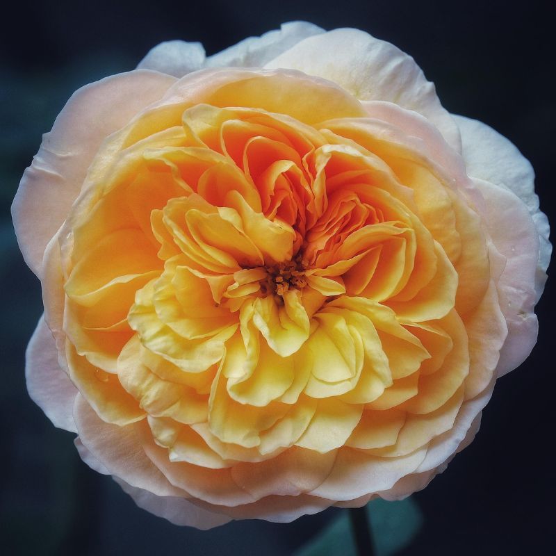 Most expensive concert stages, and the cost of Taylor Swift's Eras tour set